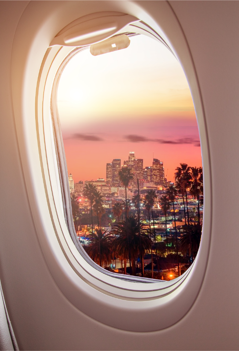 About | Eighty One Group